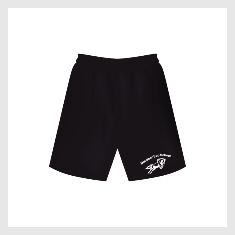 Mondeor Primary – HSC